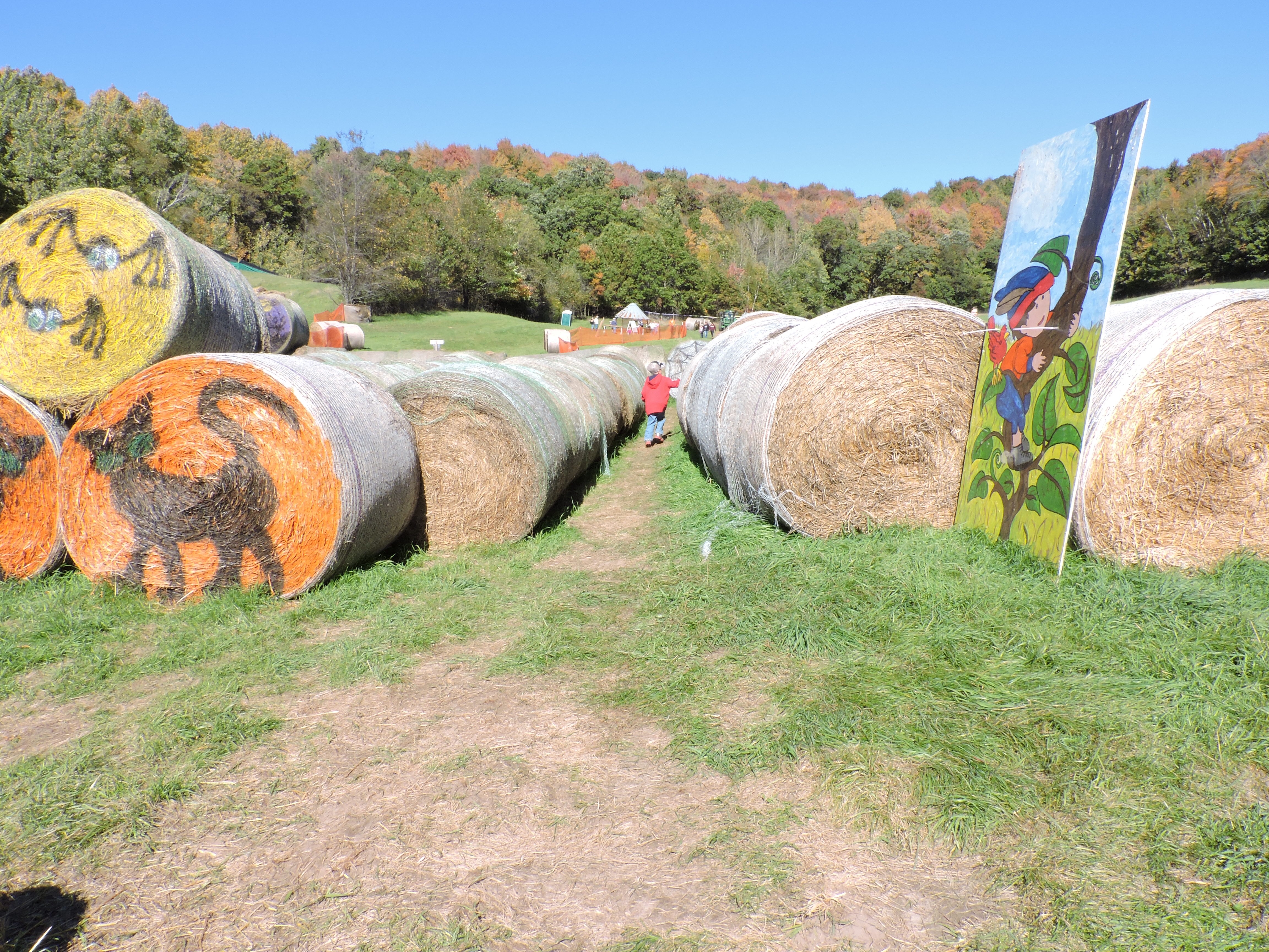 Hay Bale Maze